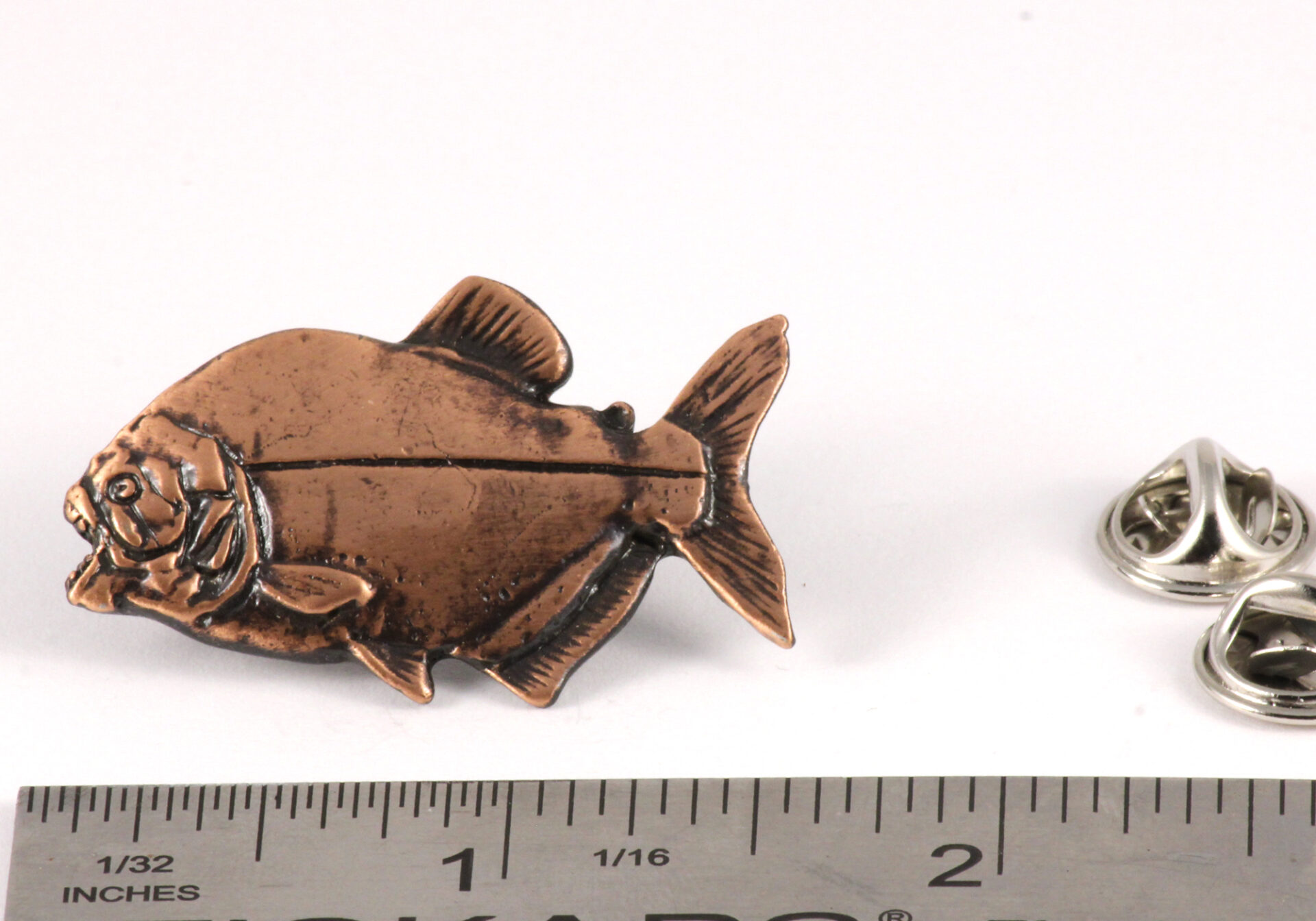 Piranha Magnet, Tropical Fish, Fish, Fishing, Freshwater Fish, F093 ...